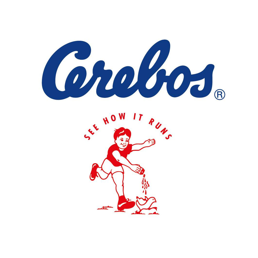 Cerebos Spykos Spicy Sausage,100g — Aubergine Foods